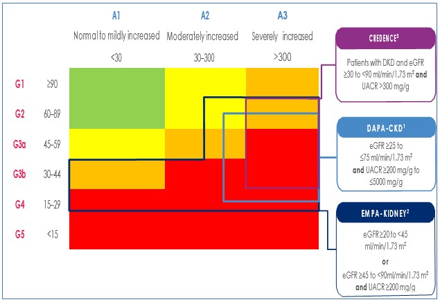 ESTUDIO EMPA-KIDNEY – AMAREVA – Asociación Madrileña de Riesgo y ...